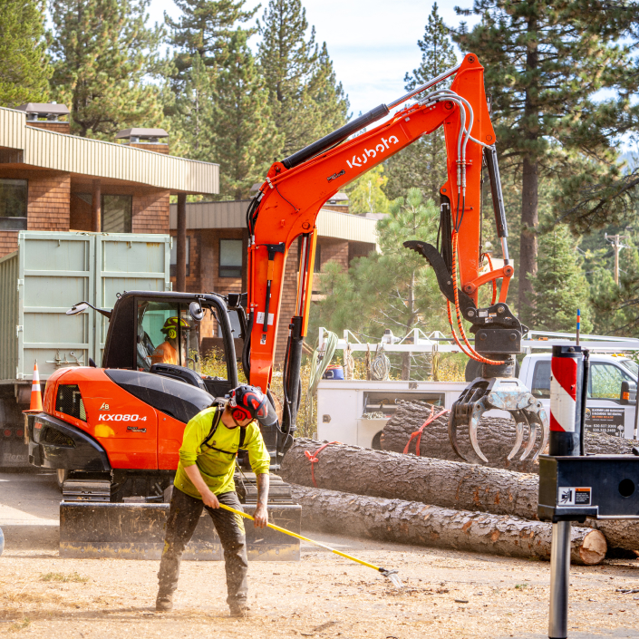 Blackmun Land Management | Blackmun Land Management and Hazardous Tree ...